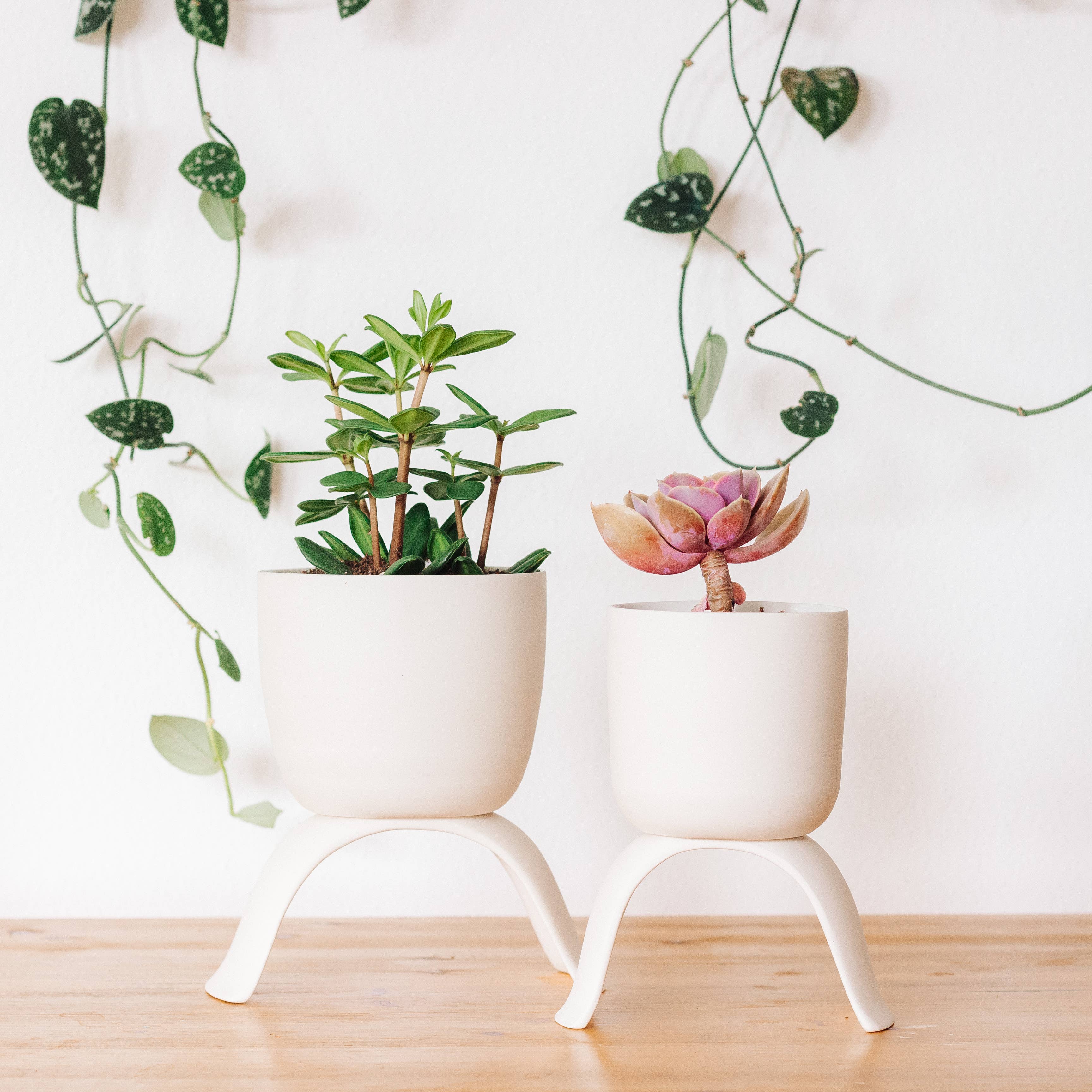 High Rise, Classic Planters | Potted Nursery